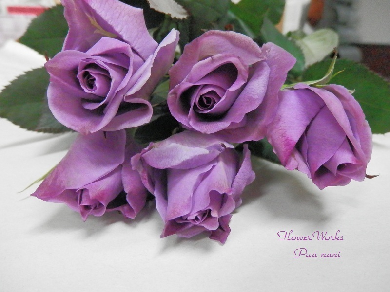 FlowerWorks Pua nani | SUNTORY blue rose 【APPLAUSE】