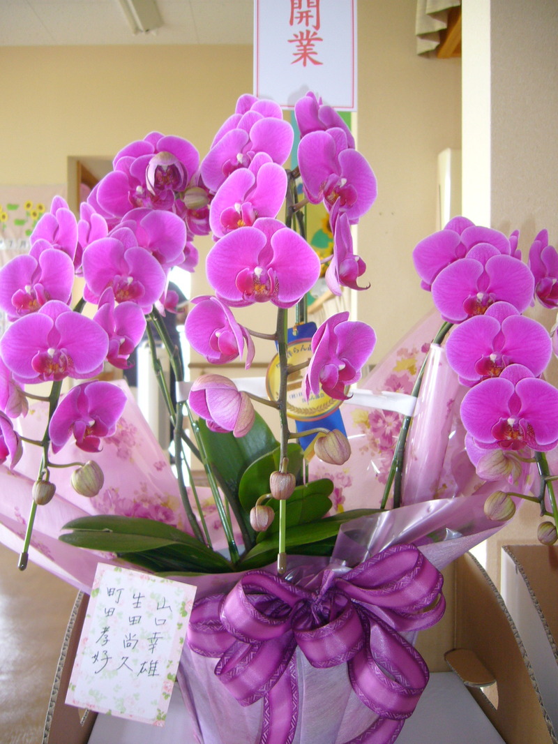 デイサービス梨花 お祝いで頂いた綺麗な花