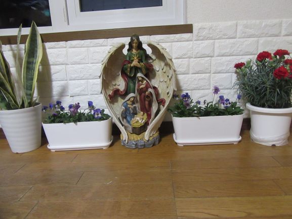 障害児の養子縁組・里親・施設・赤ちゃんポストの相談。 The Baby Box Japan