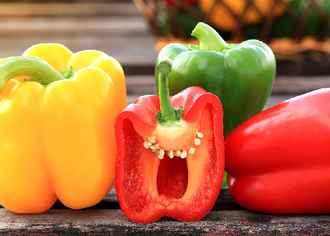 Sei-Bible セイバーボー たと譬え 9~16 Metaphor メタファー