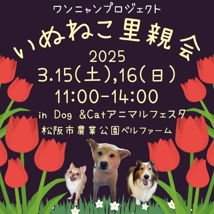 W・N・P(ワンニャンプロジェクト）人との共生 ブログ